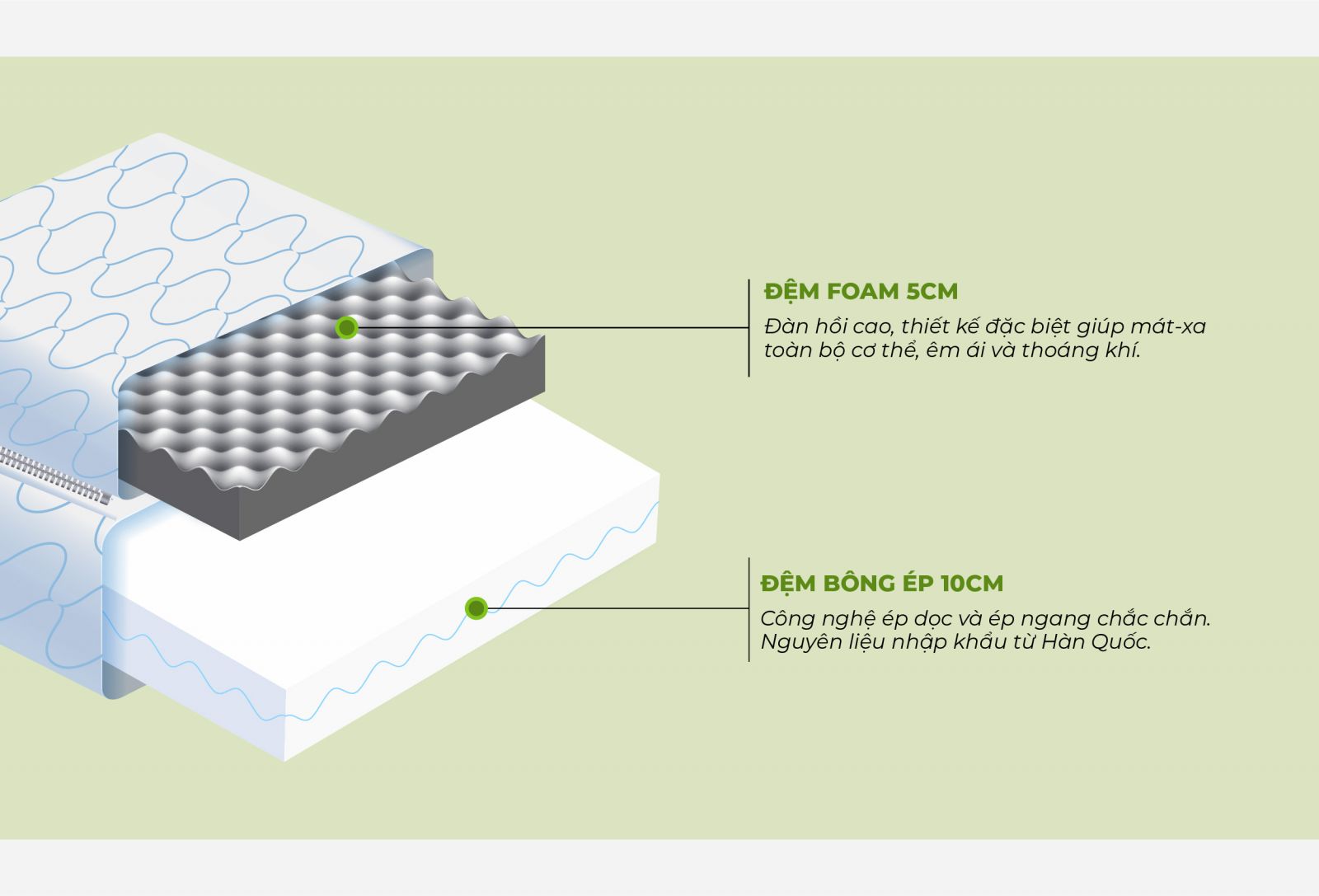 Đệm Bông Ép Everon Extra Foam